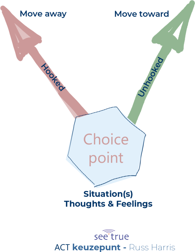 Acceptance & Commitment Therapy - SeeTrue ACT opleiding